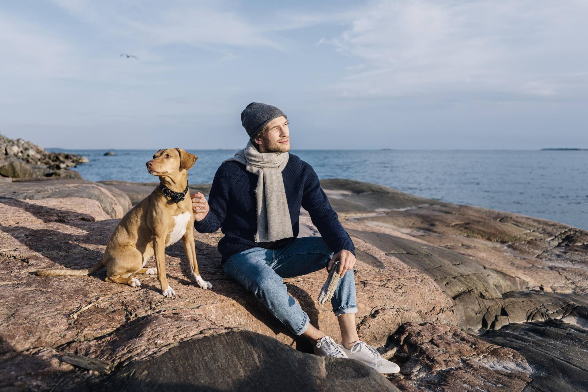 Why Do Dogs Carry Rocks