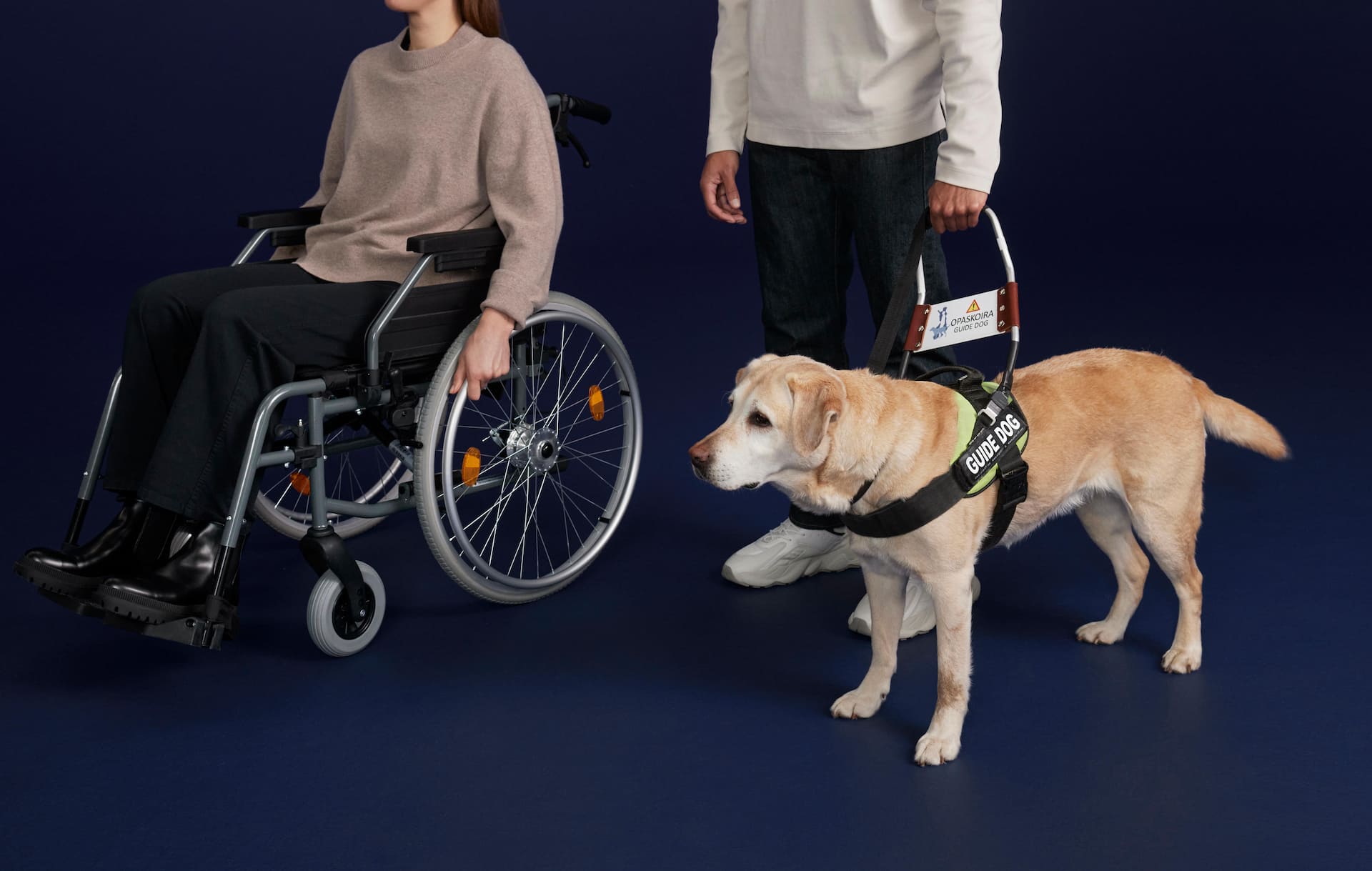 Särskild assistans och hälsa | Finnair