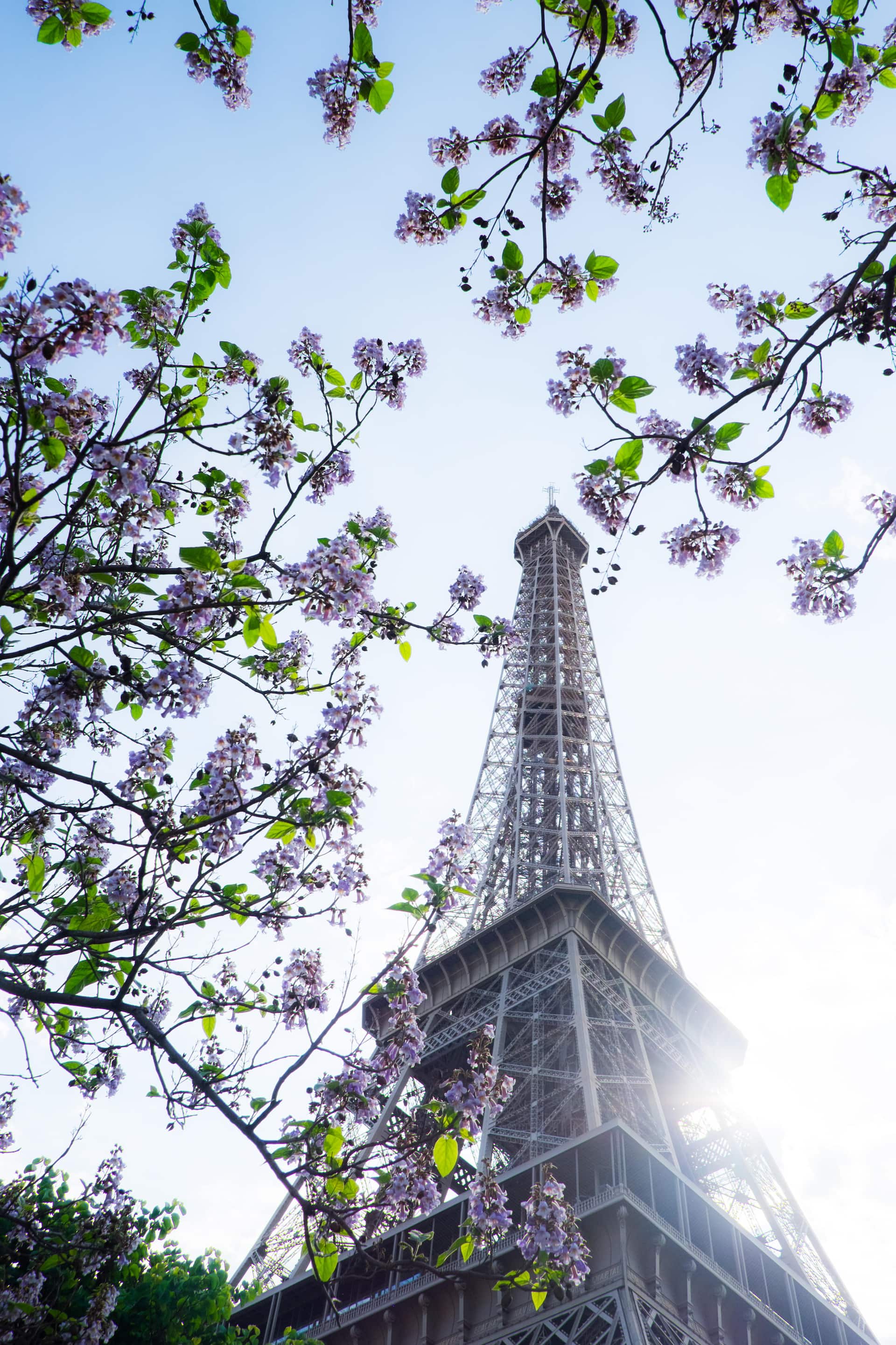 Flights to France | Finnair Korea
